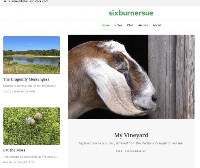 Blog | Sixburnersue.com | Vegetables, flowers, and serenity with Susie Middleton